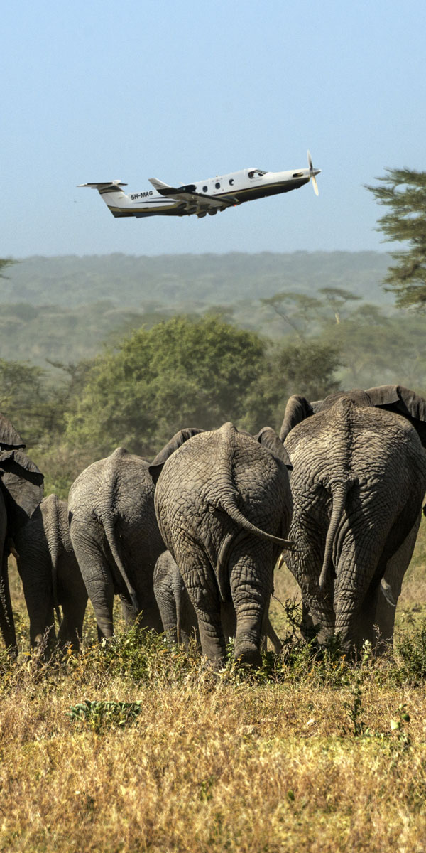 Private Jet Safari in Africa - Explorations Company