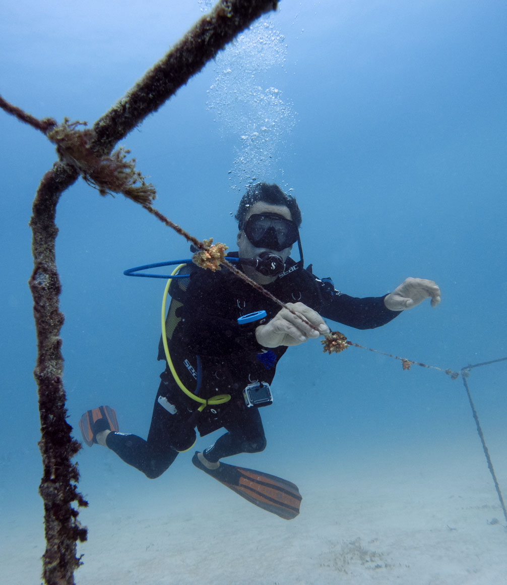 Mnemba Island Tanzania Reef Conservation - Explorations Company