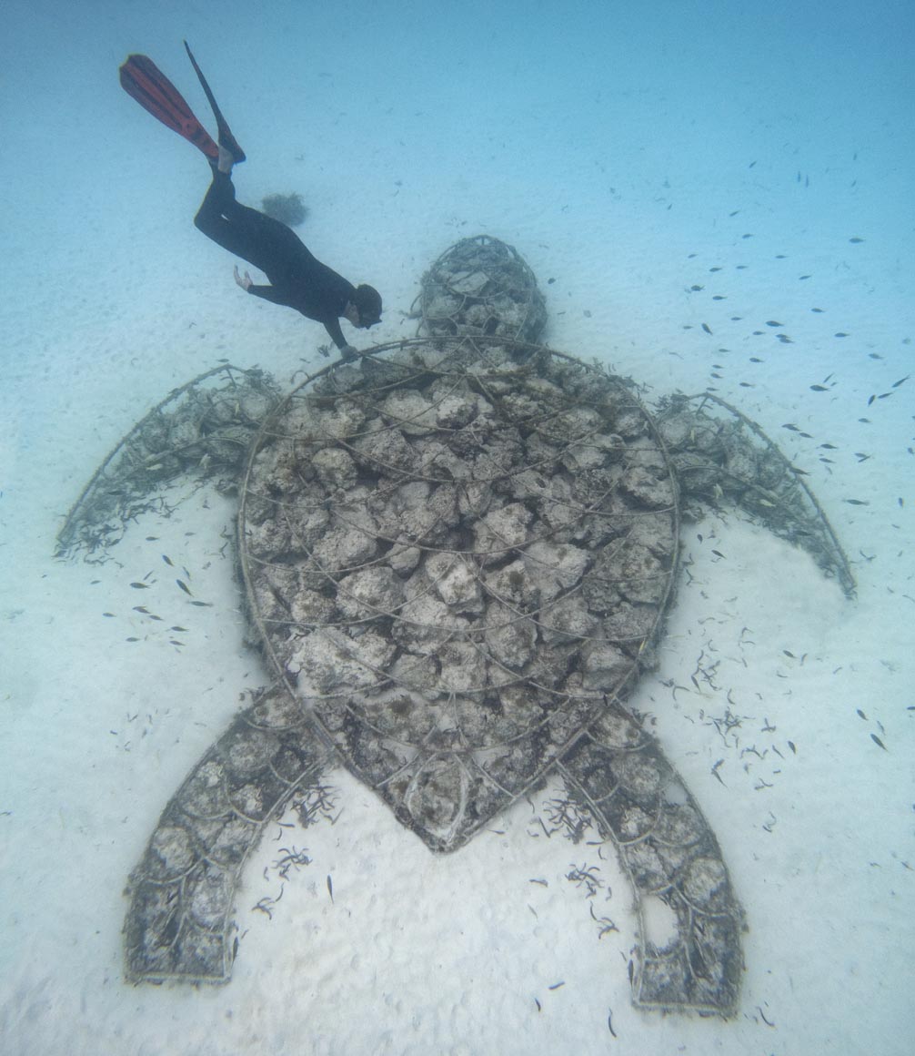 Mnemba Island Tanzania Reef Conservation - Explorations Company