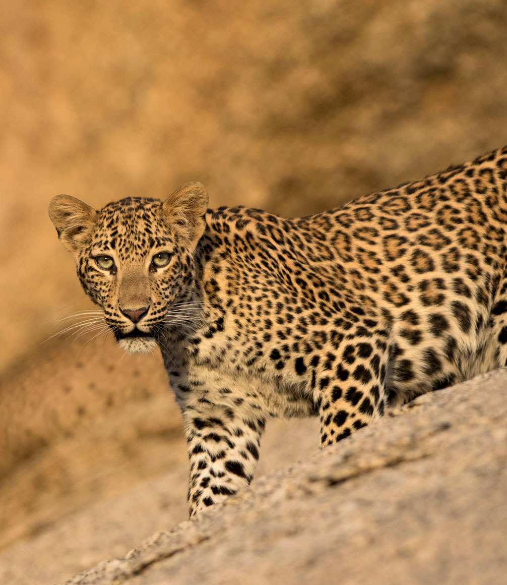 Best Rajasthan Holidays: Our Hidden Gems - Explorations Co