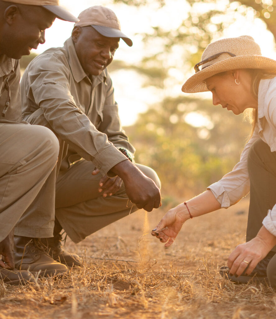 Top African Safari Lodges for a Luxury Tour 2025 - Explorations Co