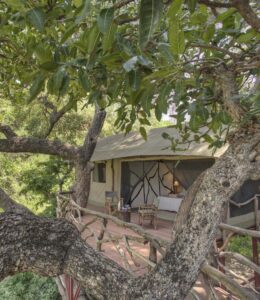 Africa Safari Camps with Sleepouts & Treehouses | Explorations